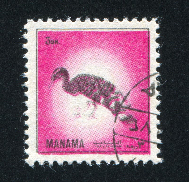 Sunbittern editorial image. Image of long, hallux, message - 241335715