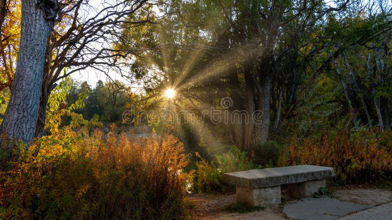 Sunburst Forms Behind a City Park Bench in the Morning Stock Photo ...