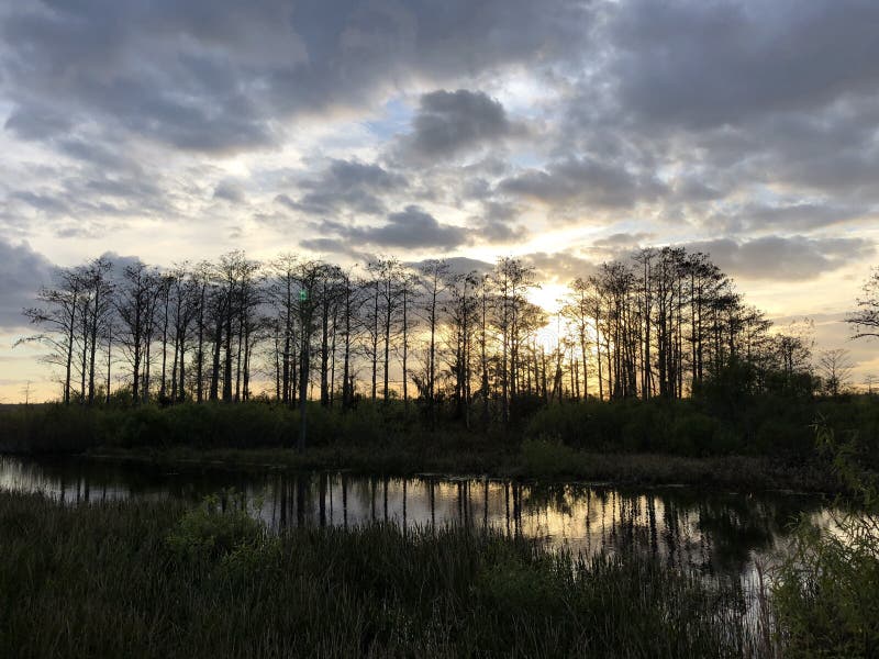 Sunburst in the marsh stock photo. Image of peaceful - 108975428