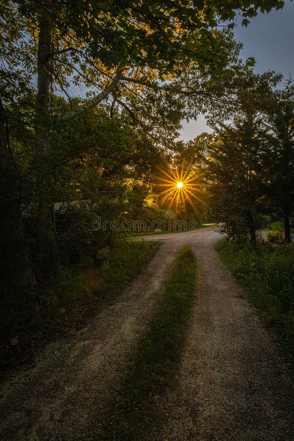 Sunburst through Trees at Sunset, the Marthas Vineyard Island, Vertical ...