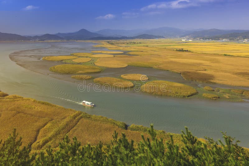 Suncheon Bay Ecological Park in South Korea Stock Photo - Image of ...