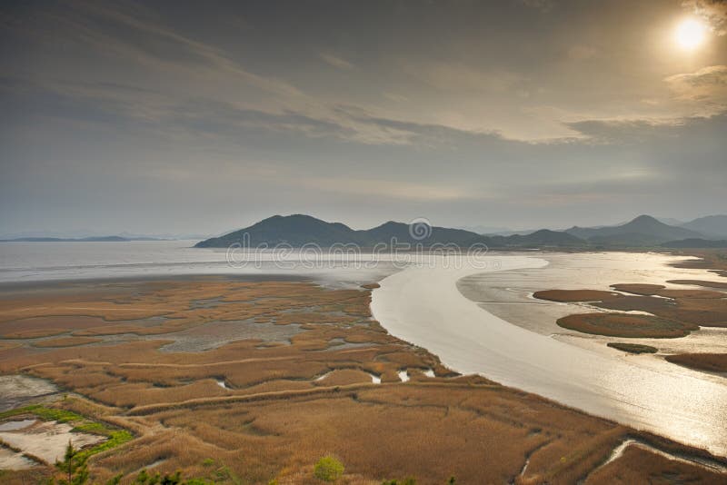 Suncheon Bay HDR stock photo. Image of dusk, environment - 40189446