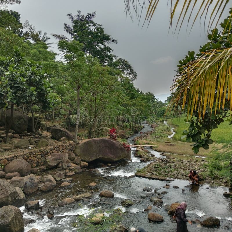 Sunda River West Java stock image. Image of west, barat - 316914005
