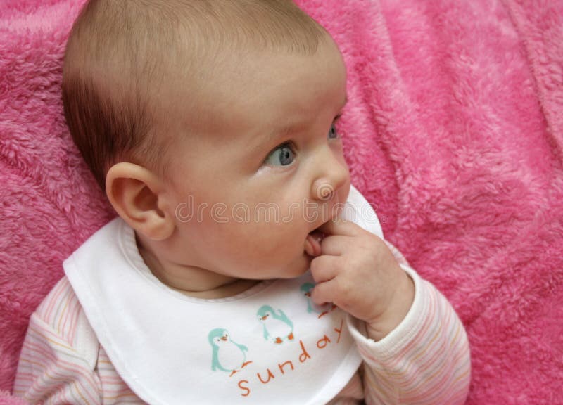 Sunday Baby Picture. Image: 1779084