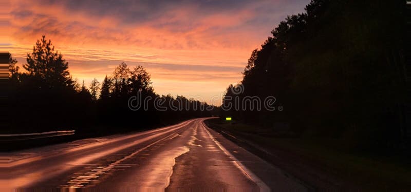 Sunday Drive stock photo. Image of animal, breed, loving - 295360