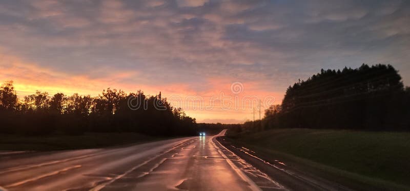 Sunday Drive stock photo. Image of animal, breed, loving - 295360