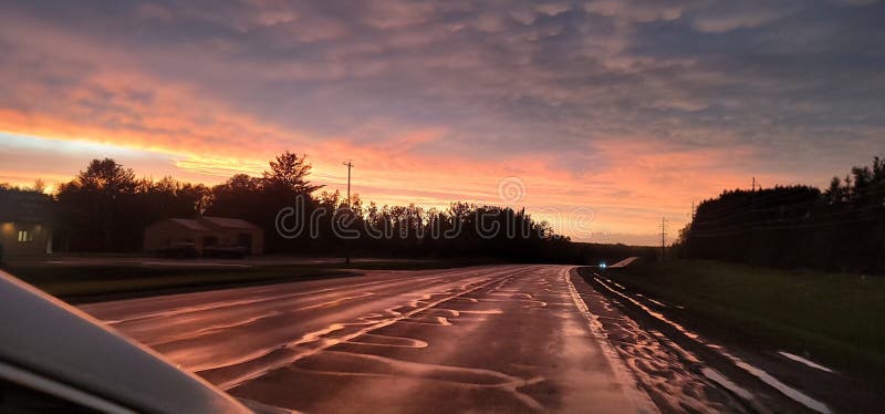 Sunday Drive stock photo. Image of animal, breed, loving - 295360