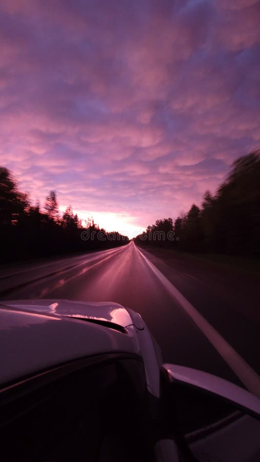 Sunday Drive stock photo. Image of animal, breed, loving - 295360