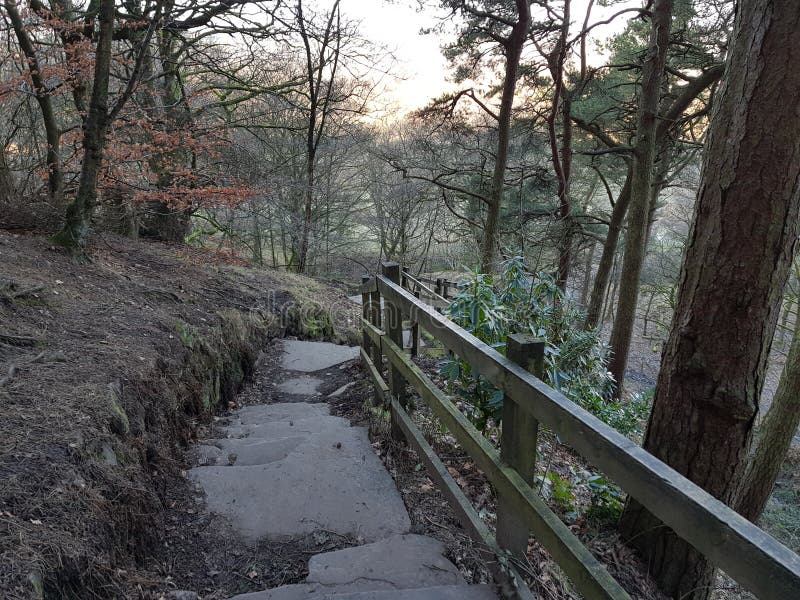 Hiking stock photo. Image of fresh, hike, sunday, hiking - 110868368