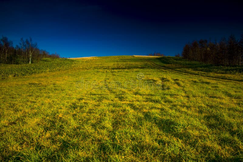 Sunday Mountain Field Autumn SAKHALIN Stock Photo - Image of field ...