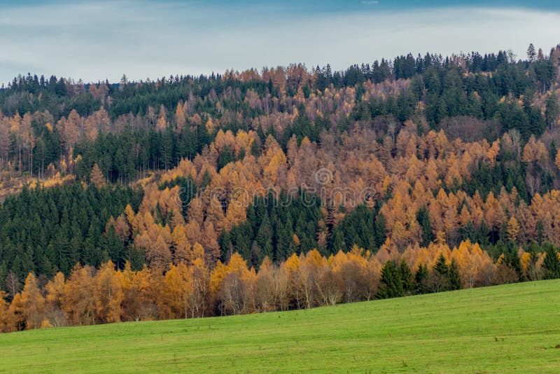 On The Way Through The Thuringian Forest In Its Full Glory Stock Image ...