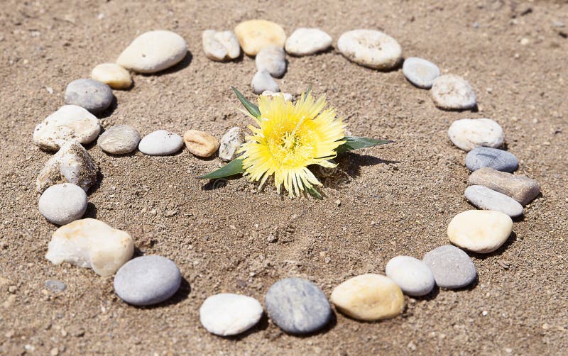 Sundial, Beautiful Background Stock Photo - Image of hour, decoration ...