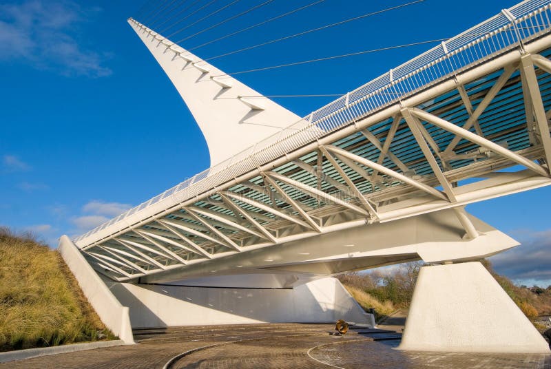 Sundial Bridge 200 editorial image. Image of spot, turtle - 7797700