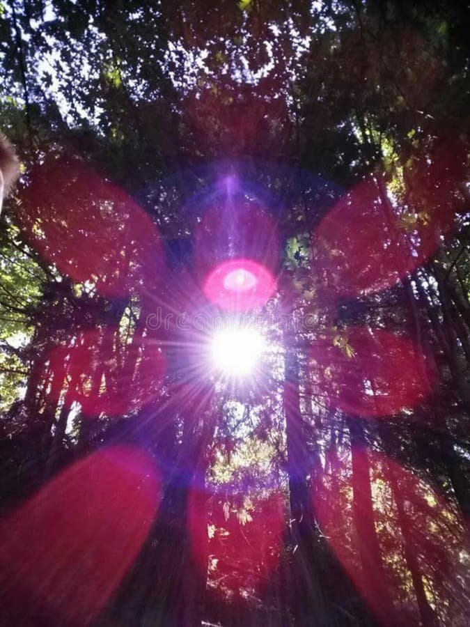 Sundog 2 stock photo. Image of forest, sundog, color - 126143034