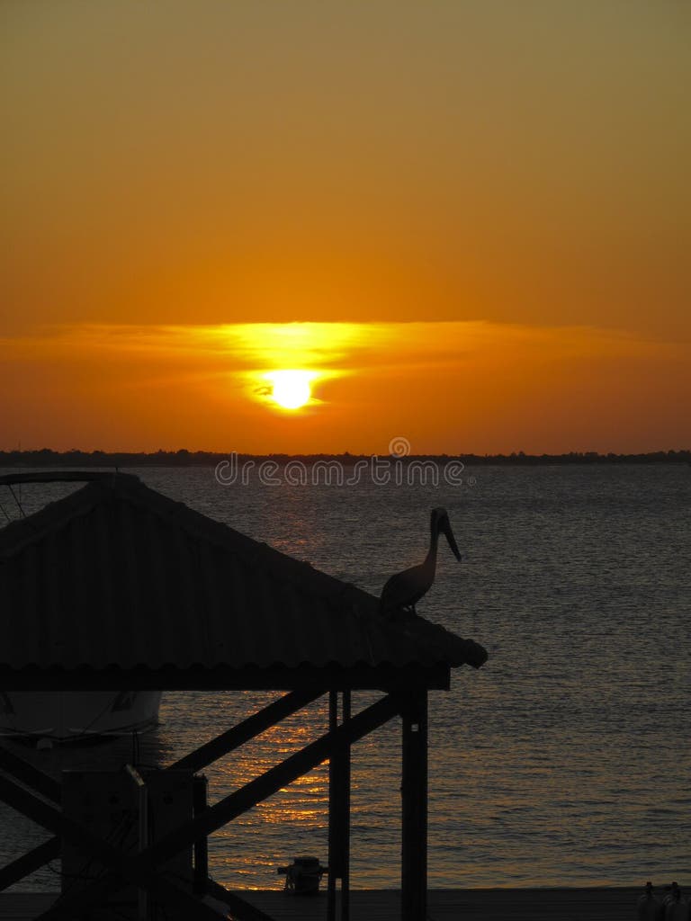 2,834 Dons Chili Stock Photos - Free & Royalty-Free Stock Photos from ...