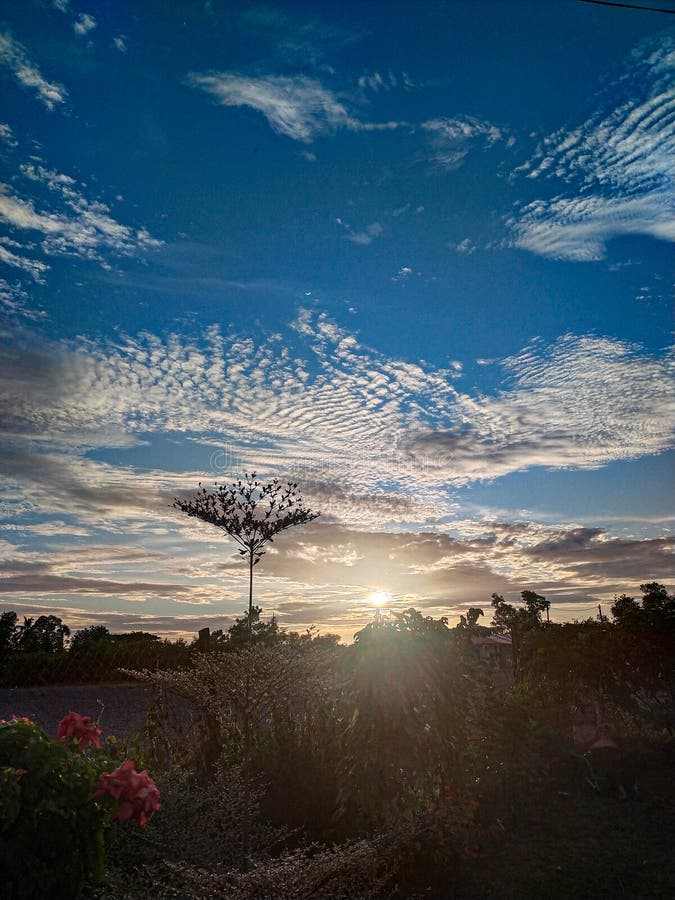 Sundown Day Extraordinary Lovely Colour Stock Photo - Image of sundown ...