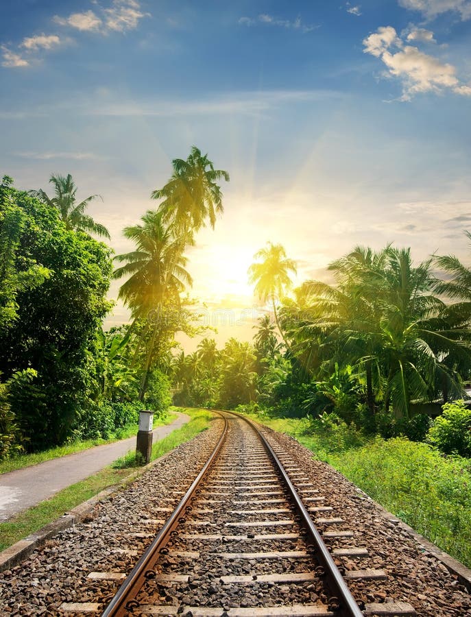 Sundown over railroad stock photo. Image of jungle, road - 66721460