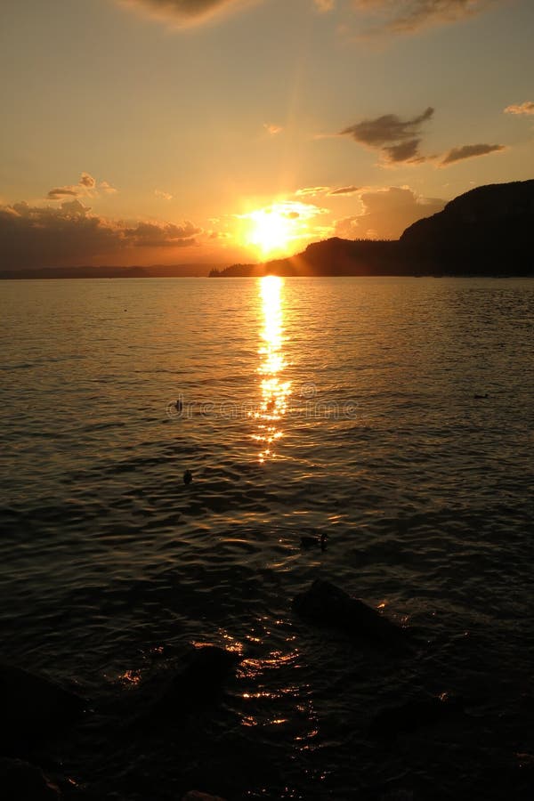 Sundown stock photo. Image of blossom, spring, nature - 100357330