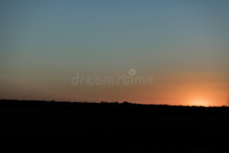 Sundown on Sugar Cane Plantation Field Stock Photo - Image of ...