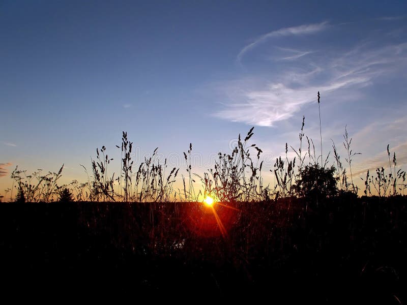 Sundown stock image. Image of herb, rays, field, sundown - 57333985