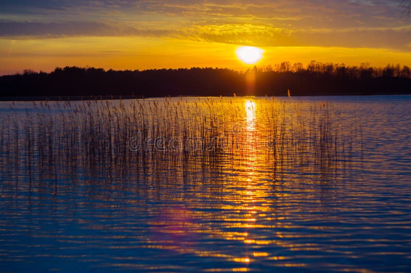 Sundown to lake stock image. Image of sweet, colors, forest - 52611379