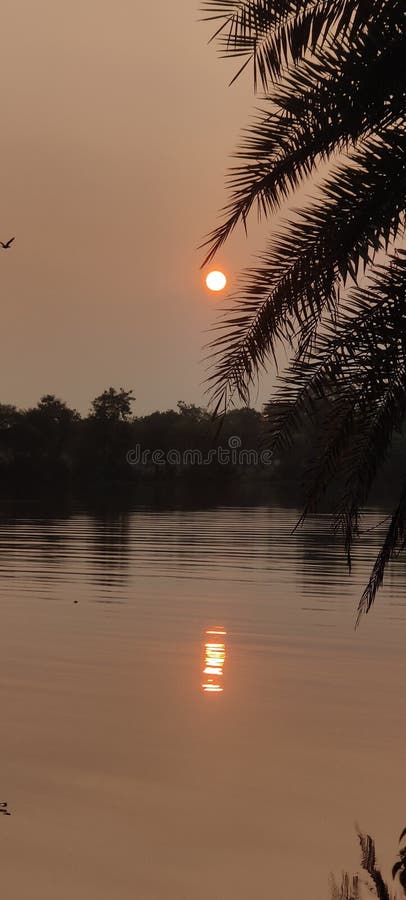 Sundowner stock image. Image of sundowner, lake, beautiful - 259441689