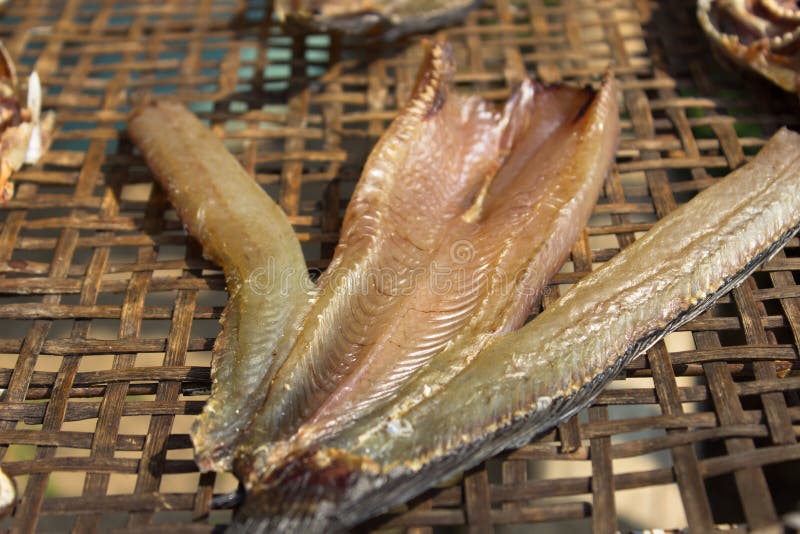 Sundried fish stock photo. Image of fillet, pets, locations - 32333648