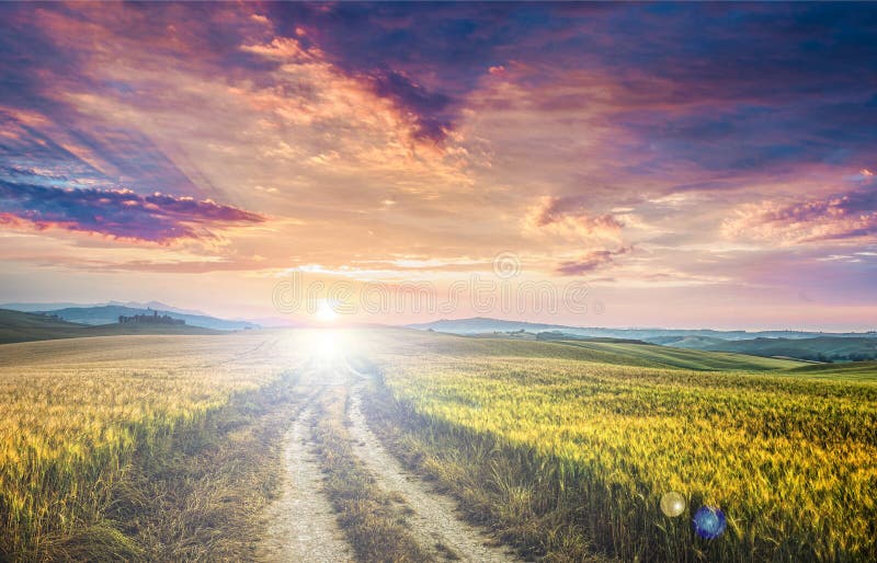 Del Mar Sunet stock photo. Image of yellow, ocean, beach - 2328288