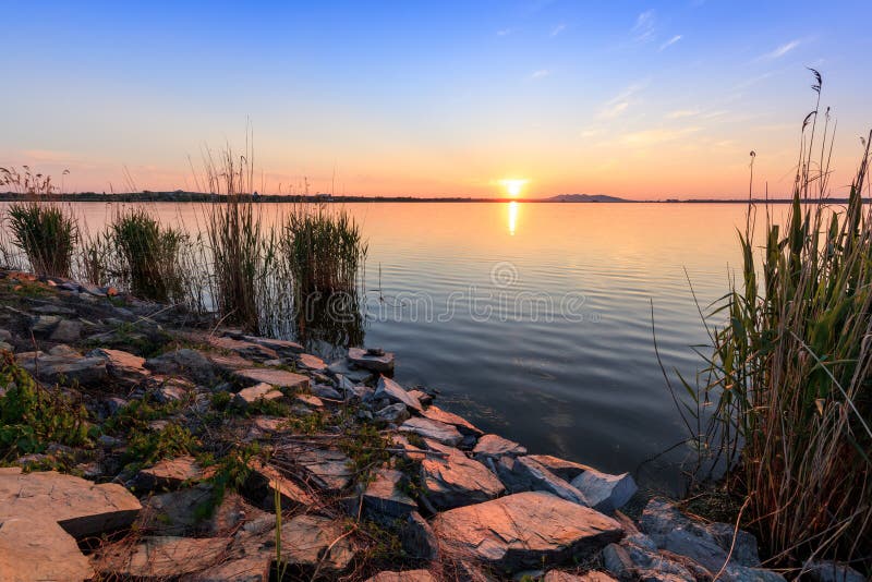 Sunet over lake stock photo. Image of springtime, reed - 113832484