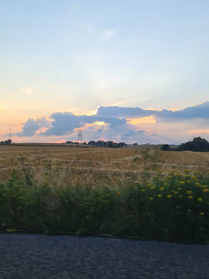 Sunfall over the meadow stock image. Image of meadow - 228461741