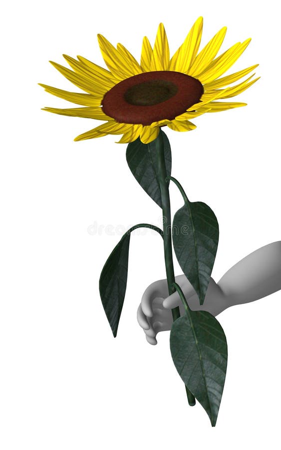 Sunflower stock illustration. Illustration of human, cartoon - 14839085