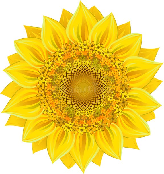 Single Sunflower Stock Illustrations – 5,428 Single Sunflower Stock ...