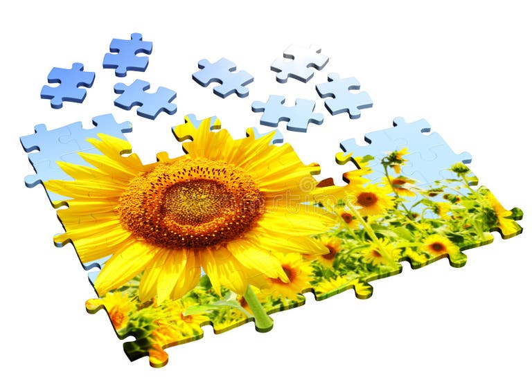 Sunflower Success Stock Illustrations – 306 Sunflower Success Stock ...