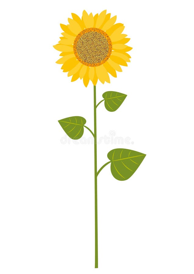 Single Sunflower Stock Illustrations – 5,552 Single Sunflower Stock ...