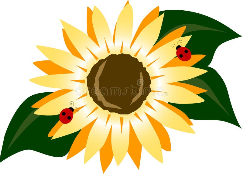 Sunflowers and ladybugs stock vector. Illustration of friendship - 4663950