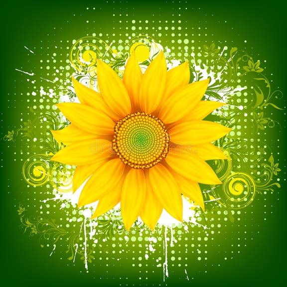 Editable Sunflower Stock Illustrations – 2,160 Editable Sunflower Stock ...