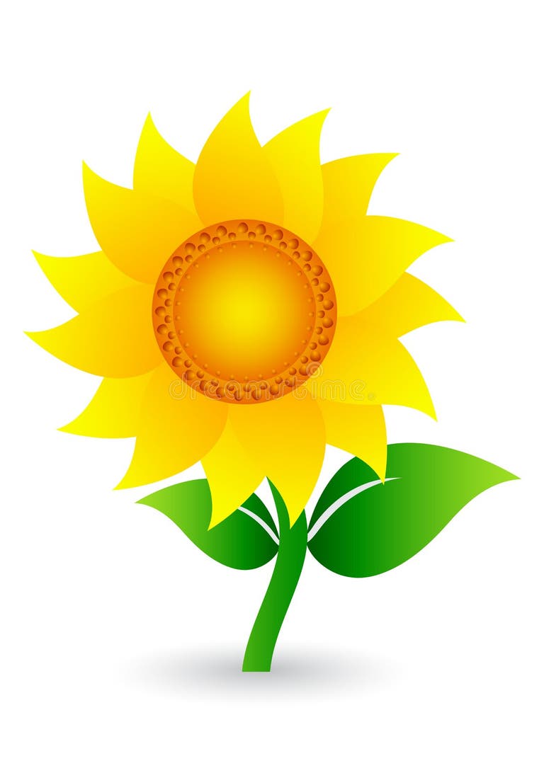 Single Sunflower Stock Illustrations – 4,786 Single Sunflower Stock ...