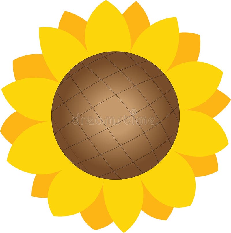 Young Sunflower with Yellow Flower and Brown Seed Stock Vector ...