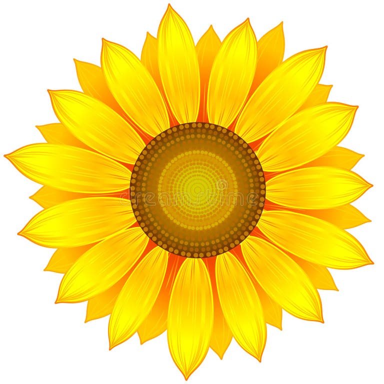 Single Sunflower Stock Illustrations – 5,815 Single Sunflower Stock ...