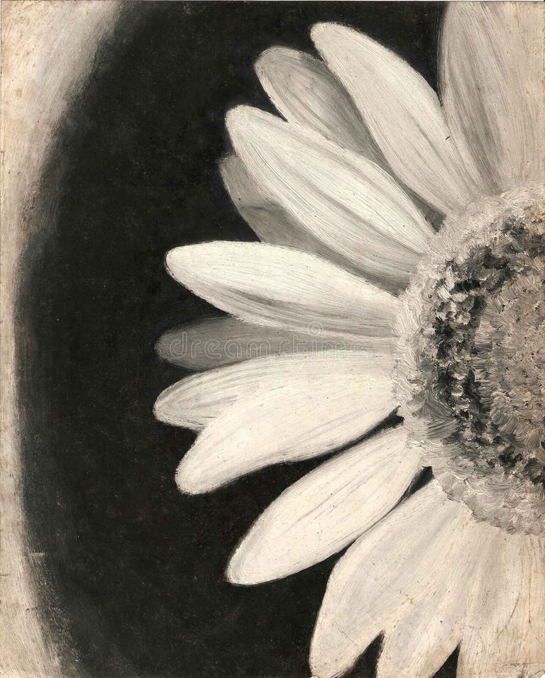 Sunflower Half Color Stock Illustrations – 43 Sunflower Half Color ...