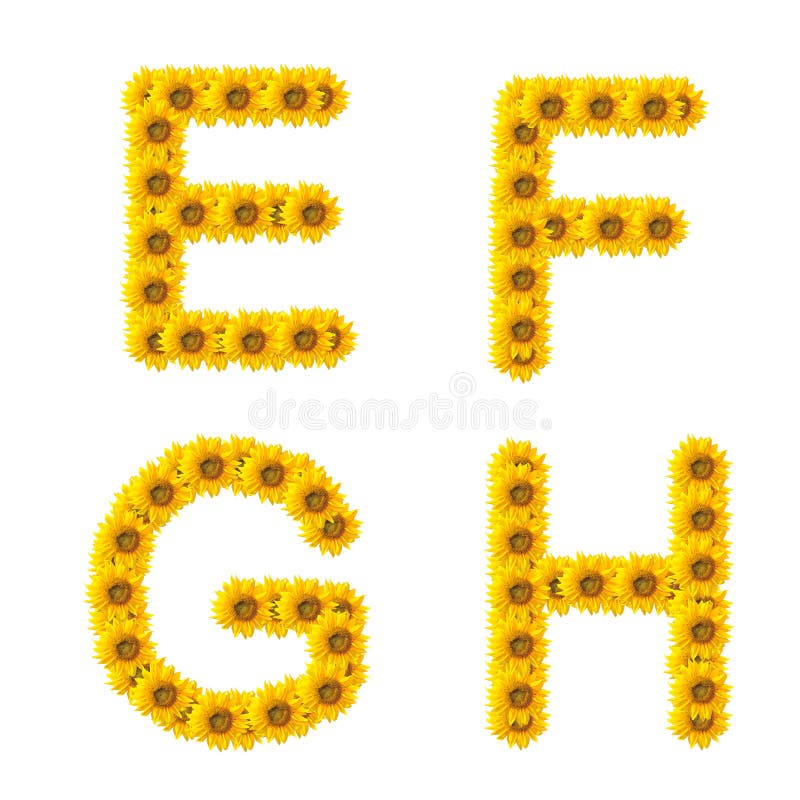 Sunflower alphabet stock photo. Image of number, naturalistic - 22843506