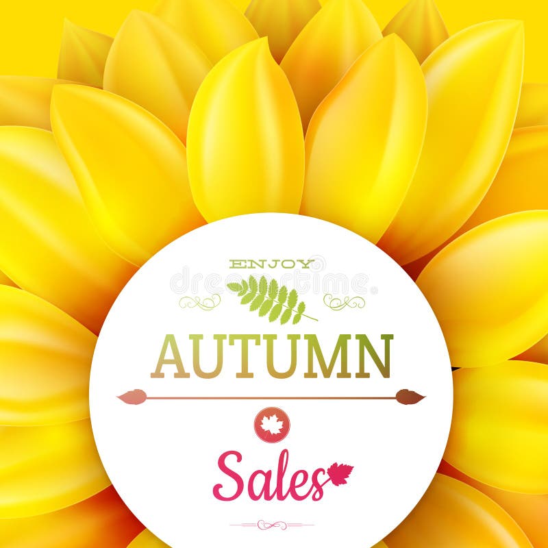 Sunflower Autumn Sale. EPS 10 Stock Vector - Illustration of sunflower ...