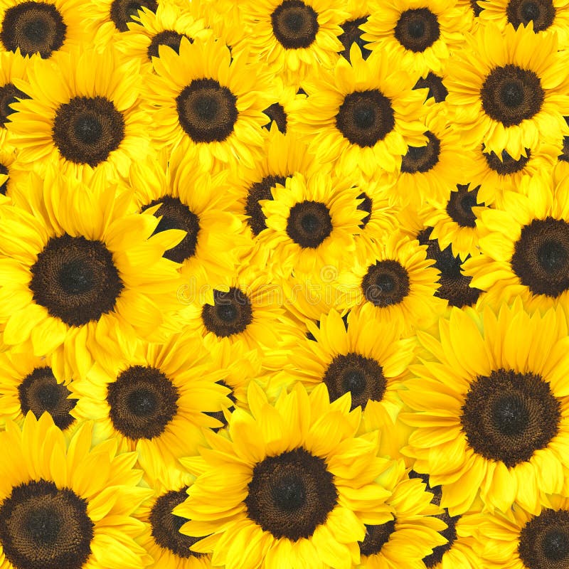 Overlapping Different Objects Stock Photos - Free & Royalty-Free Stock ...