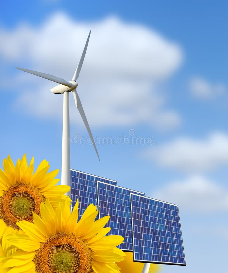 Sunflower, Blue Solar Cells and Wind Turbine Stock Image - Image of ...