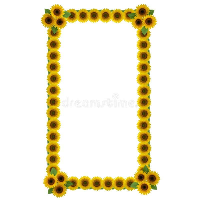 Sunflower Border Stock Illustrations – 17,560 Sunflower Border Stock ...