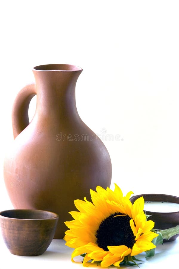6+ Sunflower bran flakes Free Stock Photos - StockFreeImages