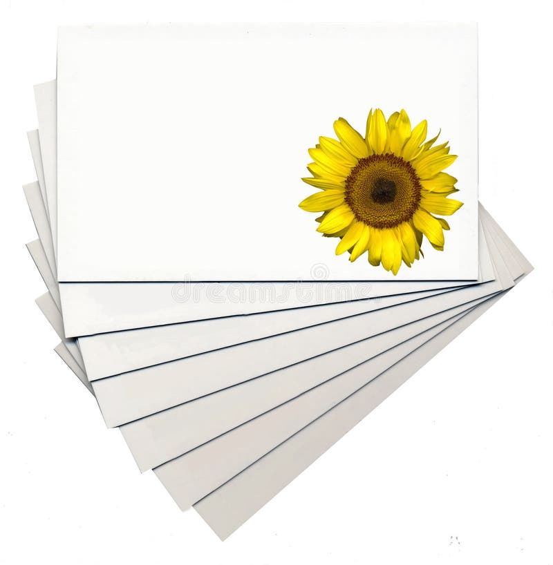 Sunflower on cards stock illustration. Illustration of bunch - 13965582