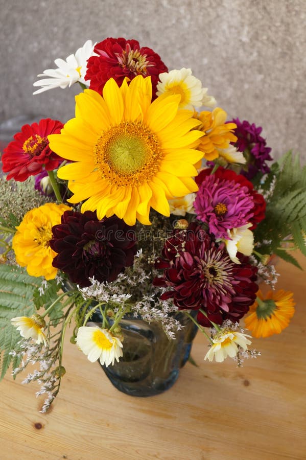 Sunflower and Colorful Flowers Stock Photo - Image of grace, flora ...