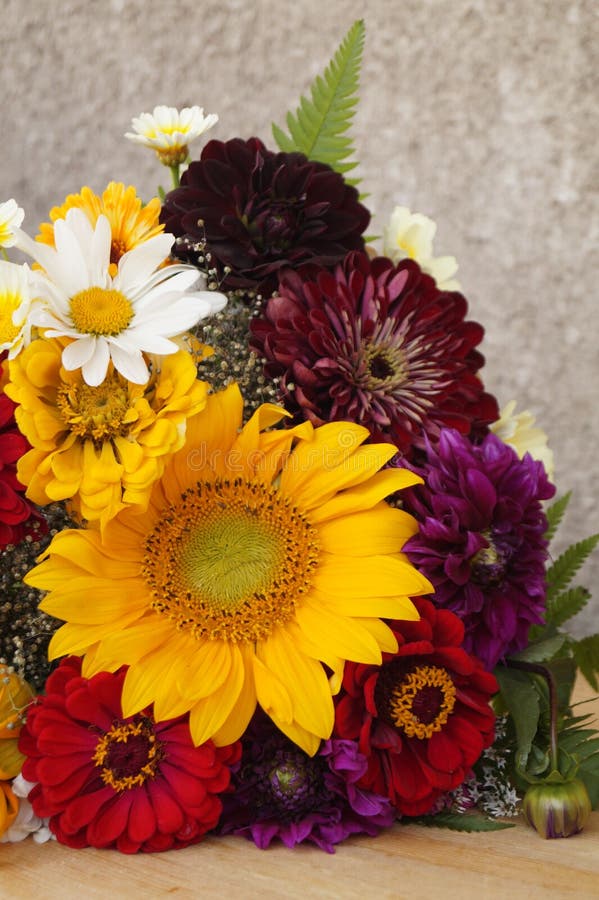 Sunflower and Colorful Flowers Stock Photo - Image of color, sunflower ...