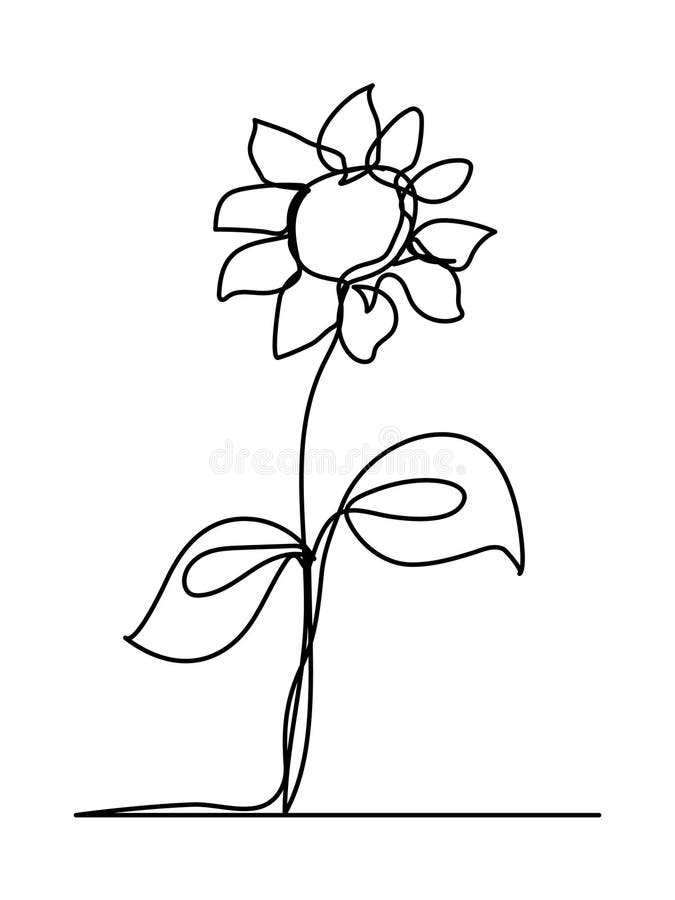 Simple Sunflower Line Drawing